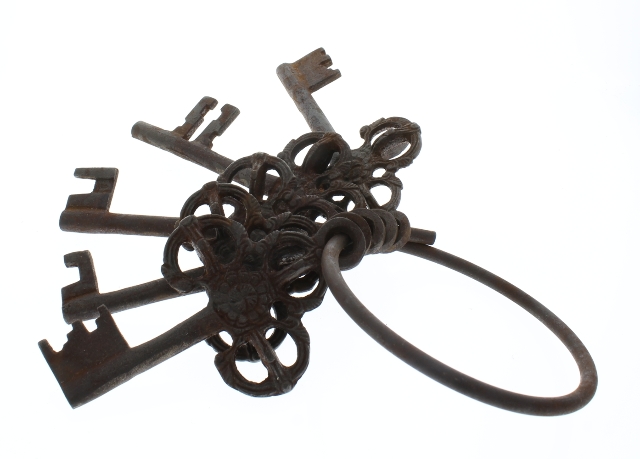 Rusty ornate Skeleton Castle Keys on a Ring Home Decor | Dragonfly Whispers