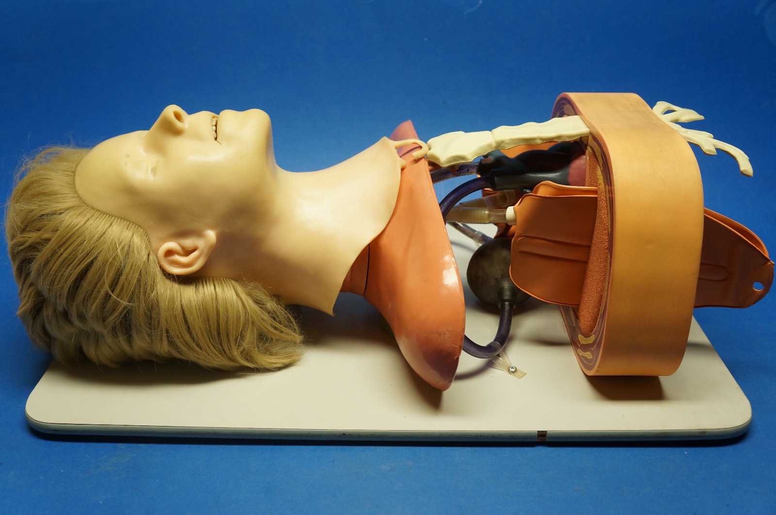 Asmund S.Laerdal Anatomical Training Anne, Manikin Female Anatomic | eBay